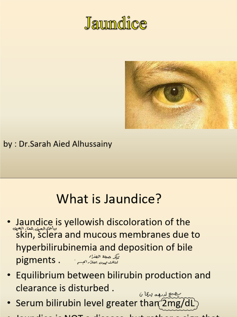 Jaundice | PDF