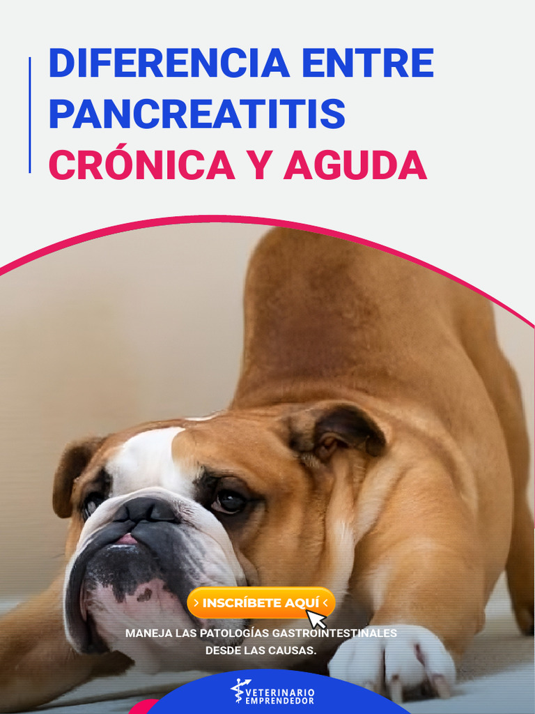 Pancreatitis Aguda Vs Pancreatitis Crónica - 231003 - 221053 | PDF | Diarrea | Sistema digestivo