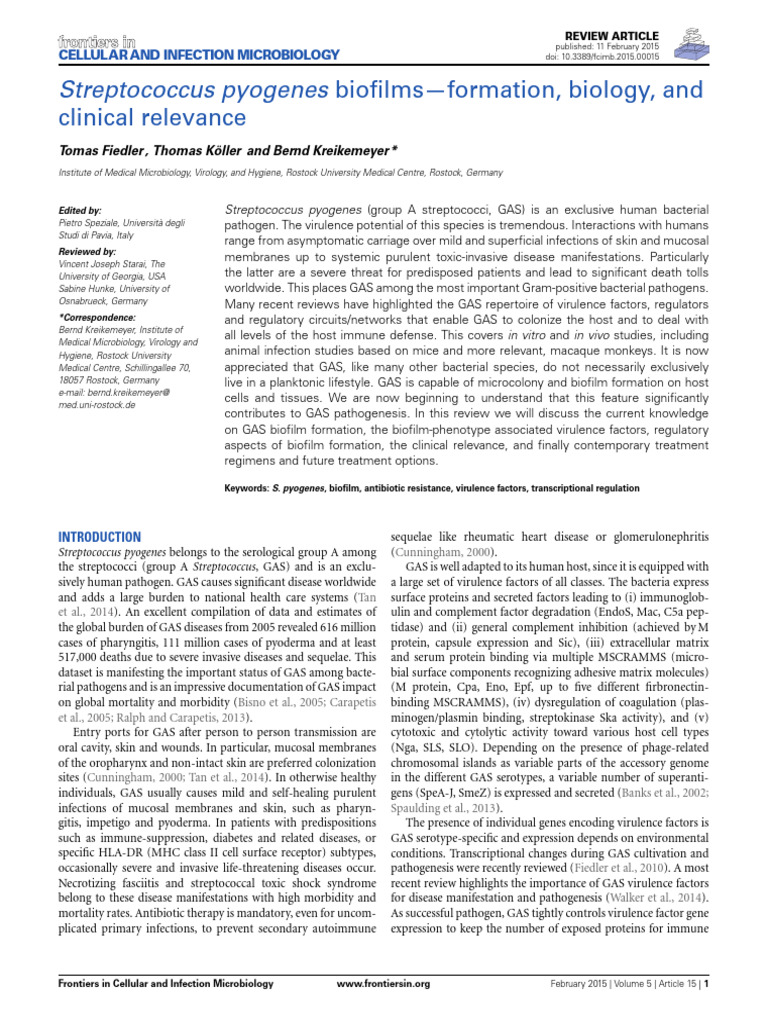 Streptococcus Pyogenes | PDF | Biofilm | Streptococcus