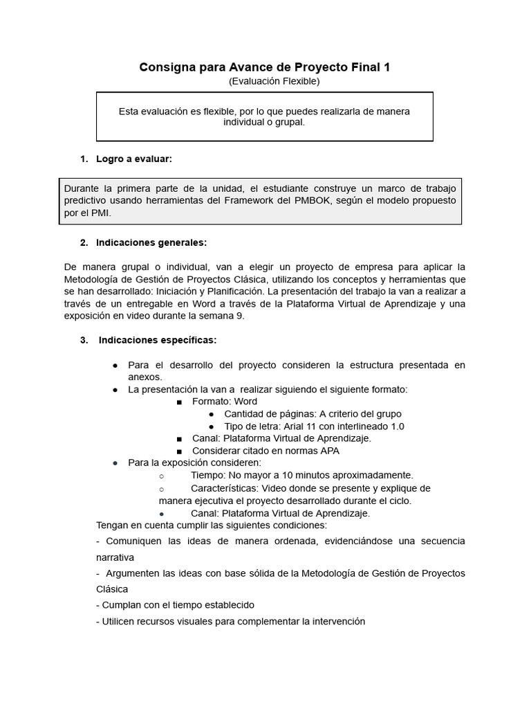 Avance de Proyecto Final 1 - Indicaciones - I33N - V2 | PDF | Business | Evaluación