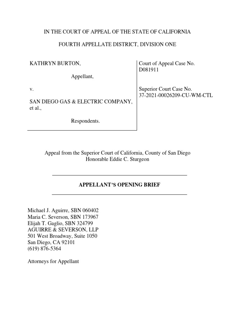 Appellant Burton's Opening Brief | PDF