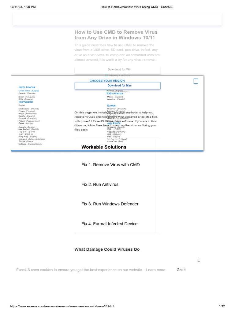 How To Remove Delete Virus Using Cmd Easeus Pdf Computer Virus