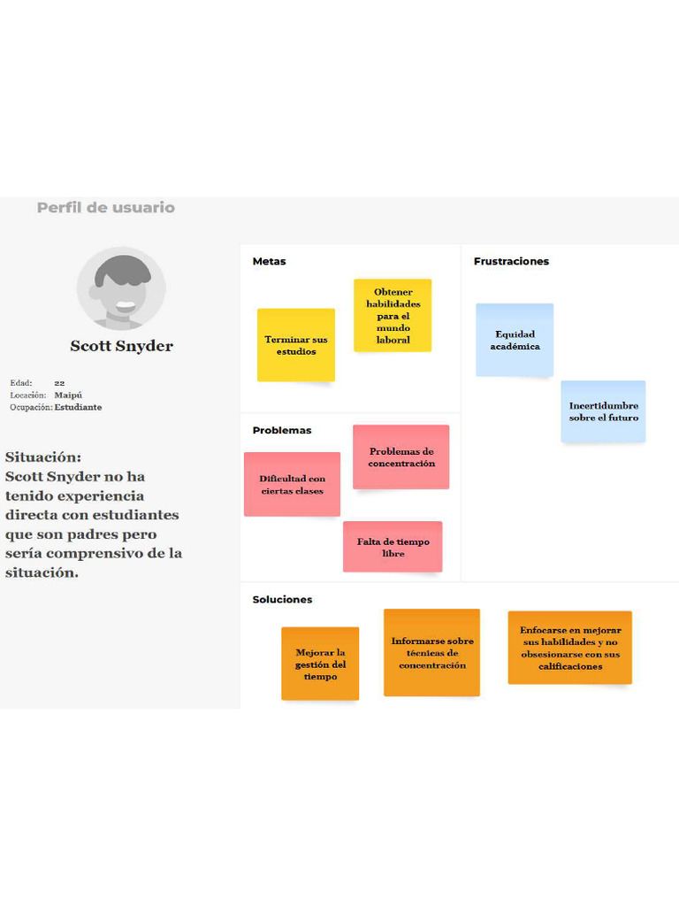 Perfiles de Usuarios | PDF
