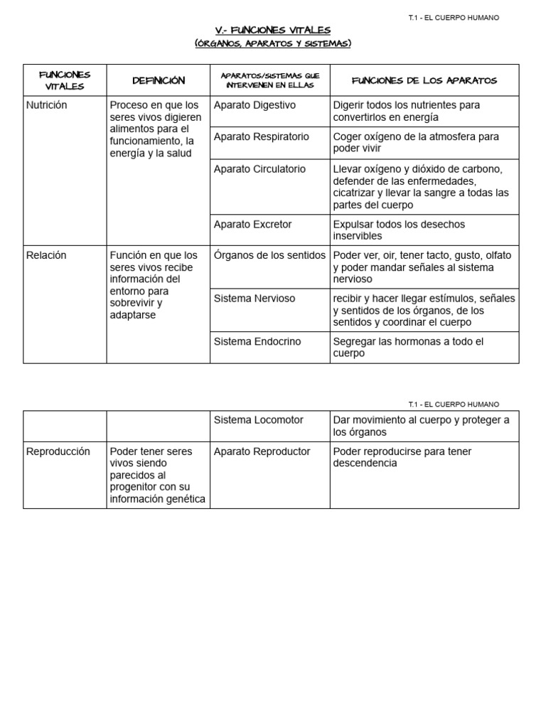 5-Funciones Vitales | PDF | Digestión | Anatomía