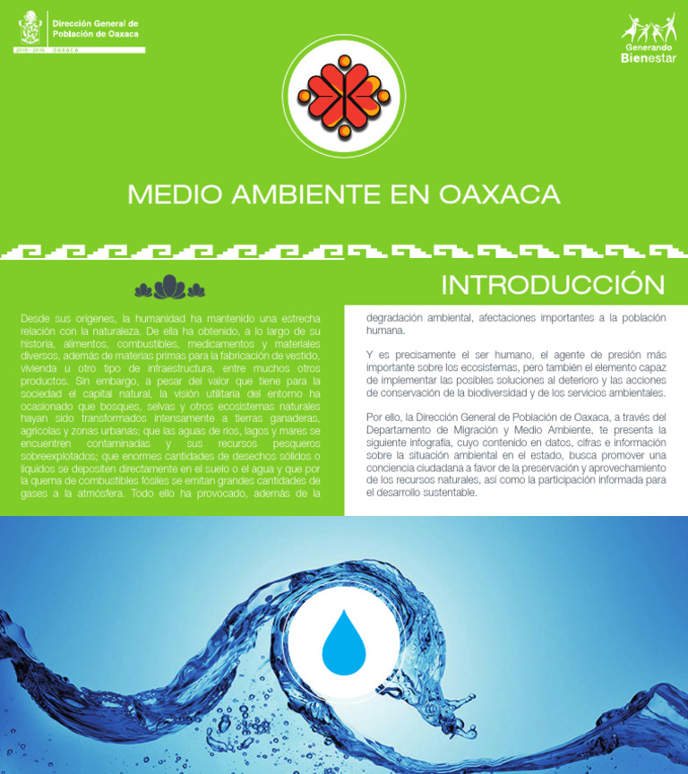 Infografia Medio Ambiente | PDF