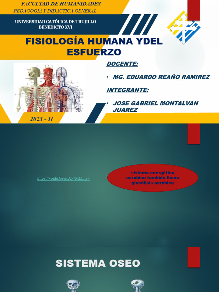 Sistema Osio | Descargar gratis PDF | Hueso | Esqueleto