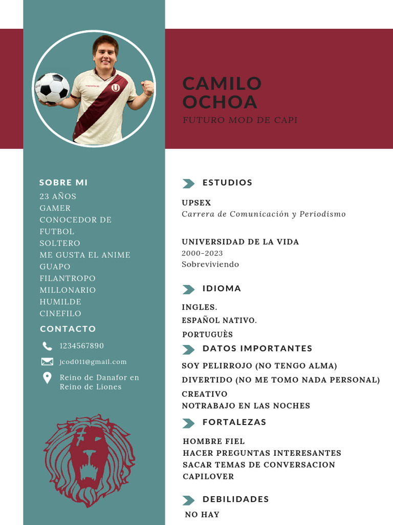 CV de Camilo Ochoa | PDF