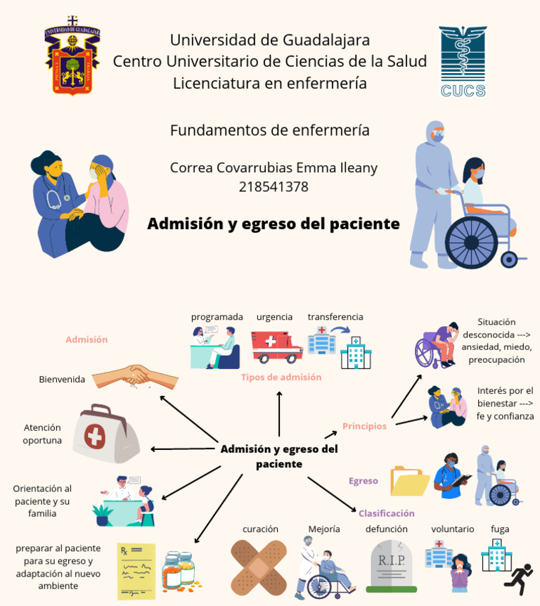 Admisión y Egreso Del Paciente | PDF