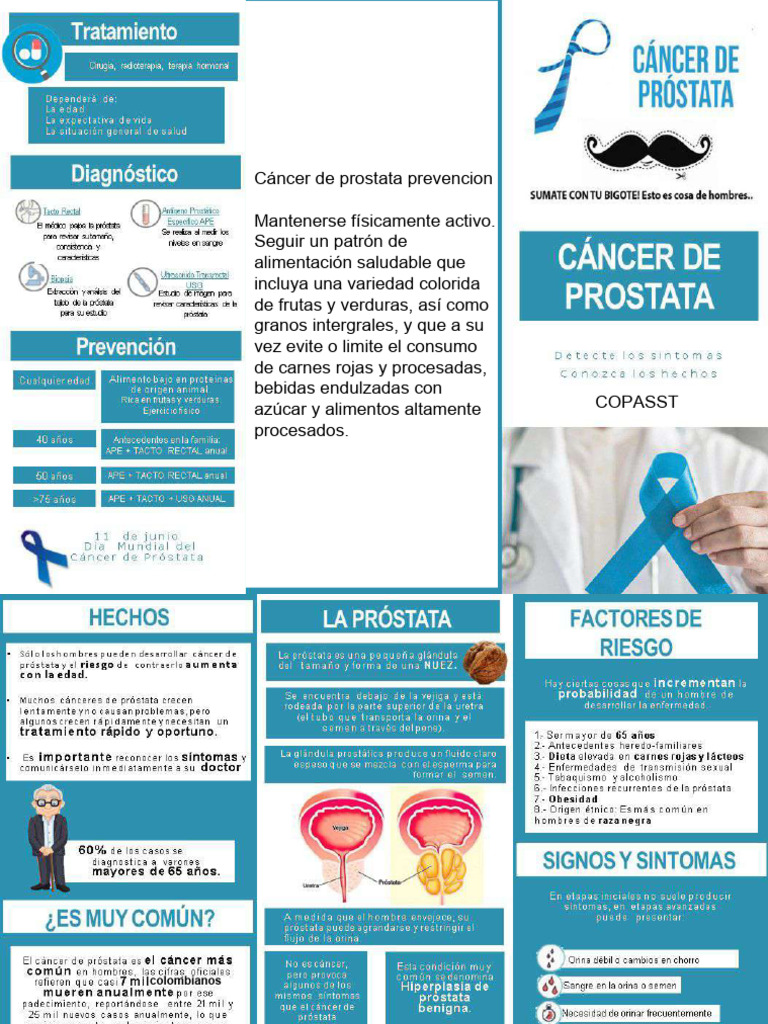 Folleto Cancer de Prostata | PDF