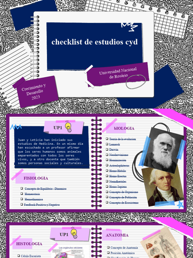 Cyd 2024 | PDF | Percepción visual | Cerebro