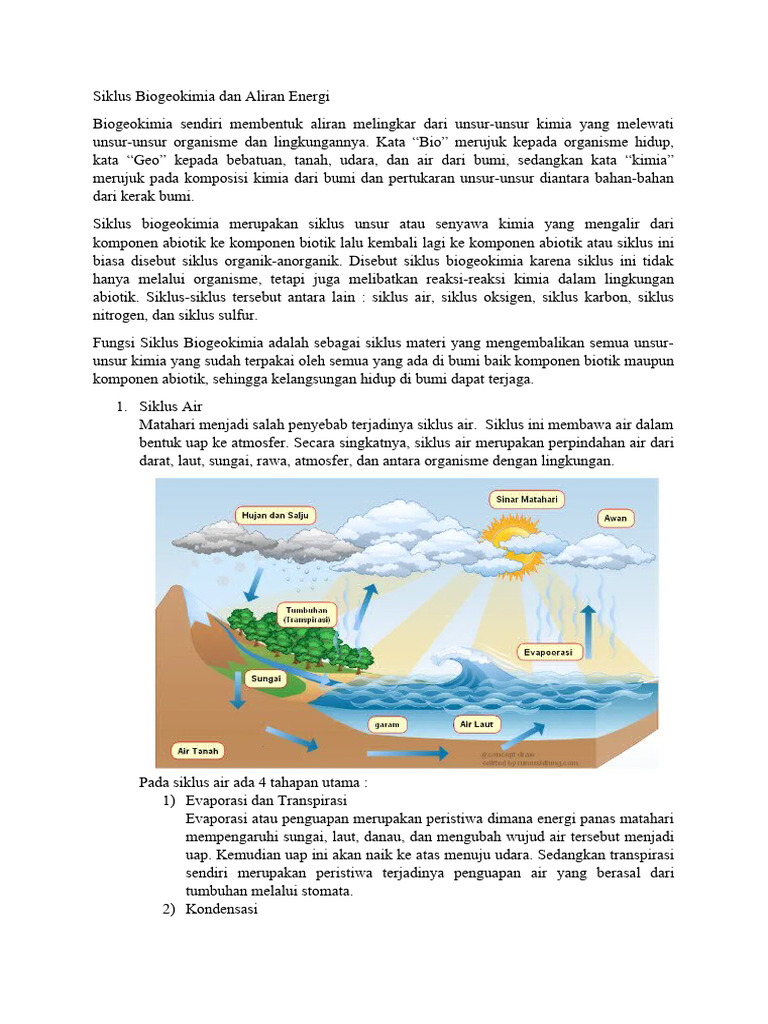 Siklus Biogeokimia Dan Aliran Energi | PDF