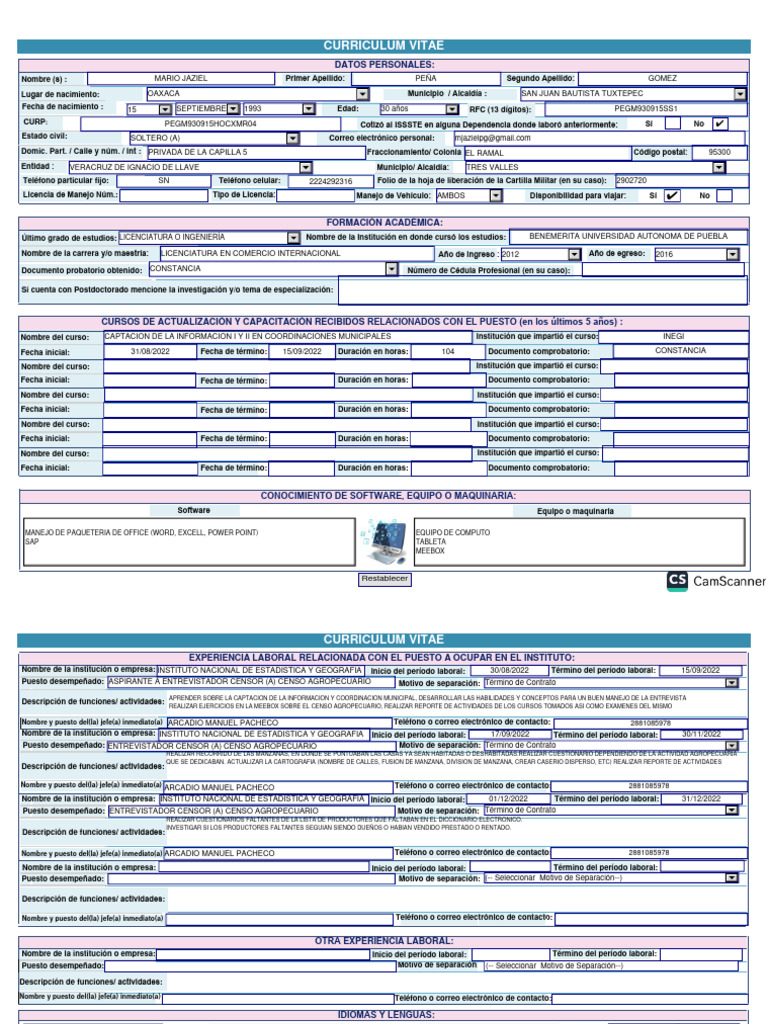 Curriculum Vitae - Hoja 1 y 2 Nov2021 | PDF