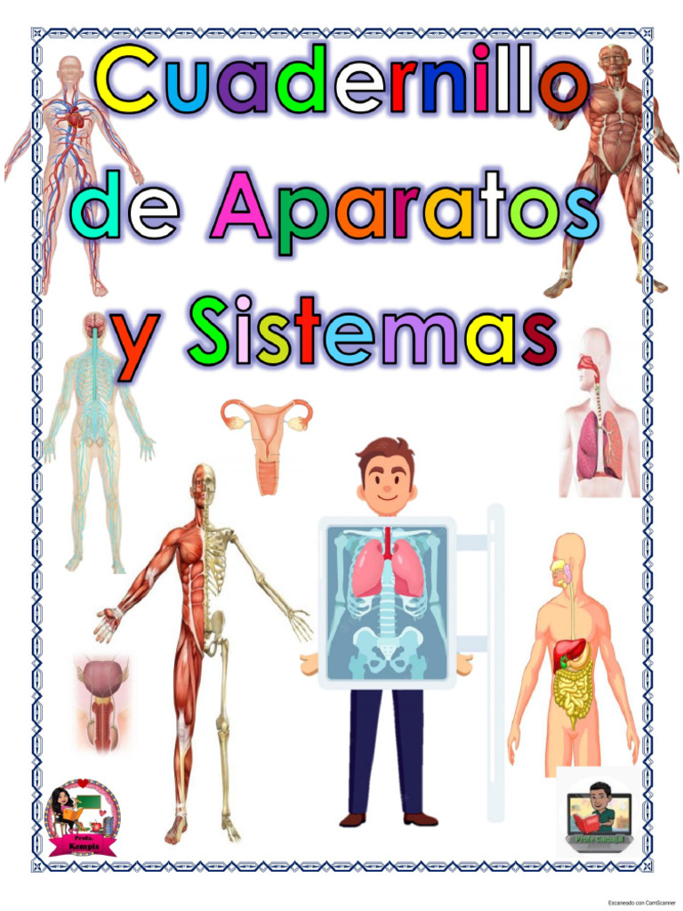 CUADERNILLO APARATOS Y SISTEMAS Profa Kempis | PDF