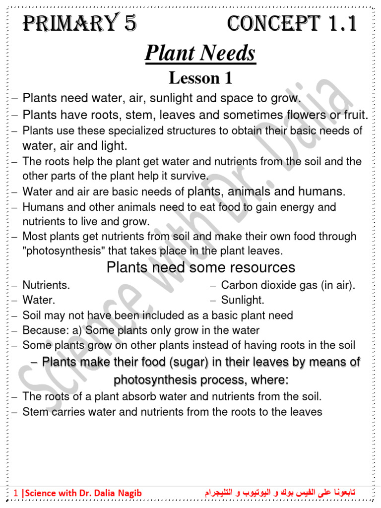 Importance of Plants for Growth | PDF