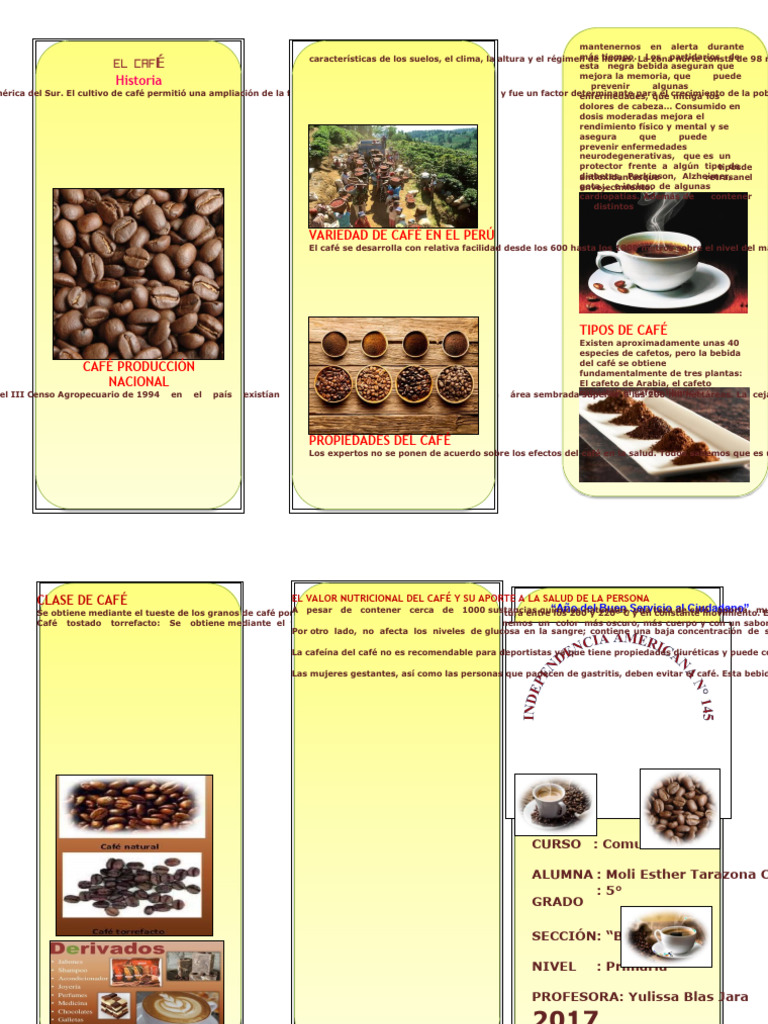 Triptico Cafe | PDF | café | Bebida