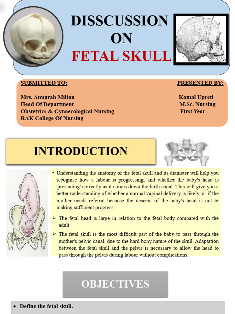 Fetal Skull Ppt By Komal Upreti Pdf Skull Anatomy