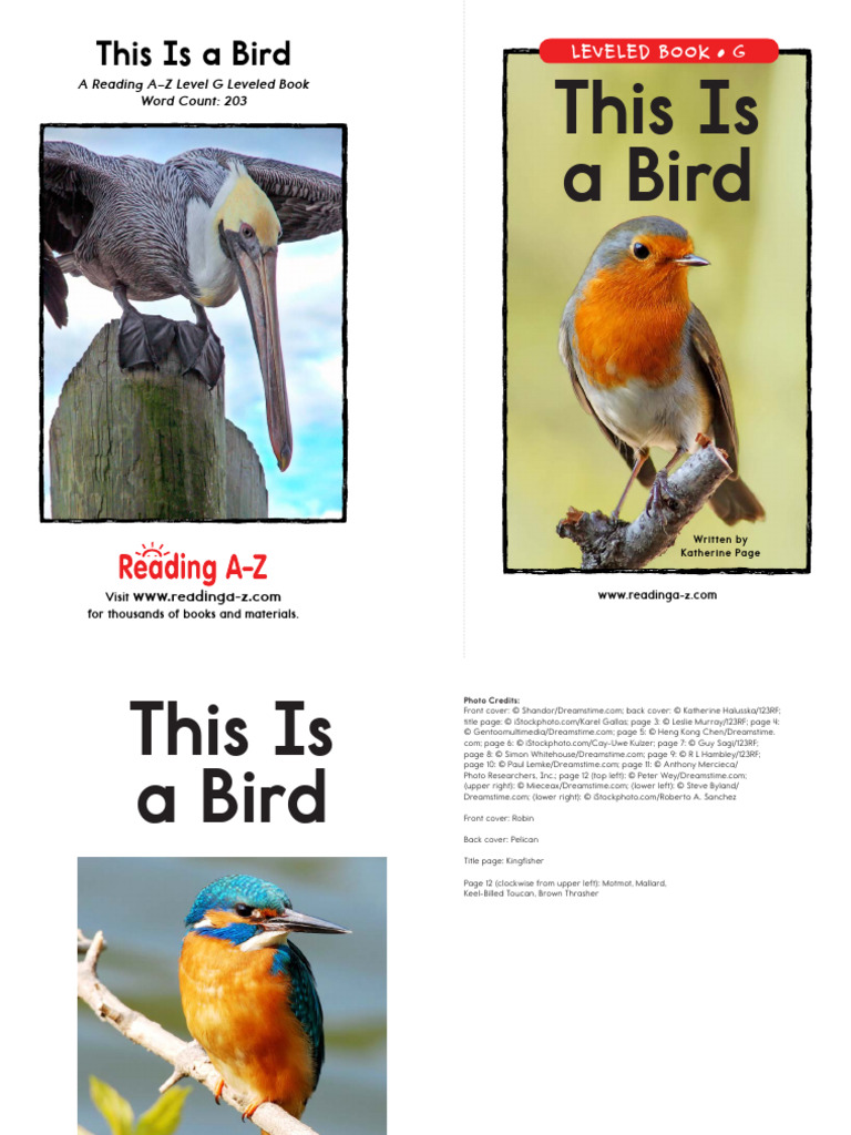This Is A Bird | PDF