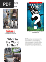 Grade 4 Short Stories | PDF