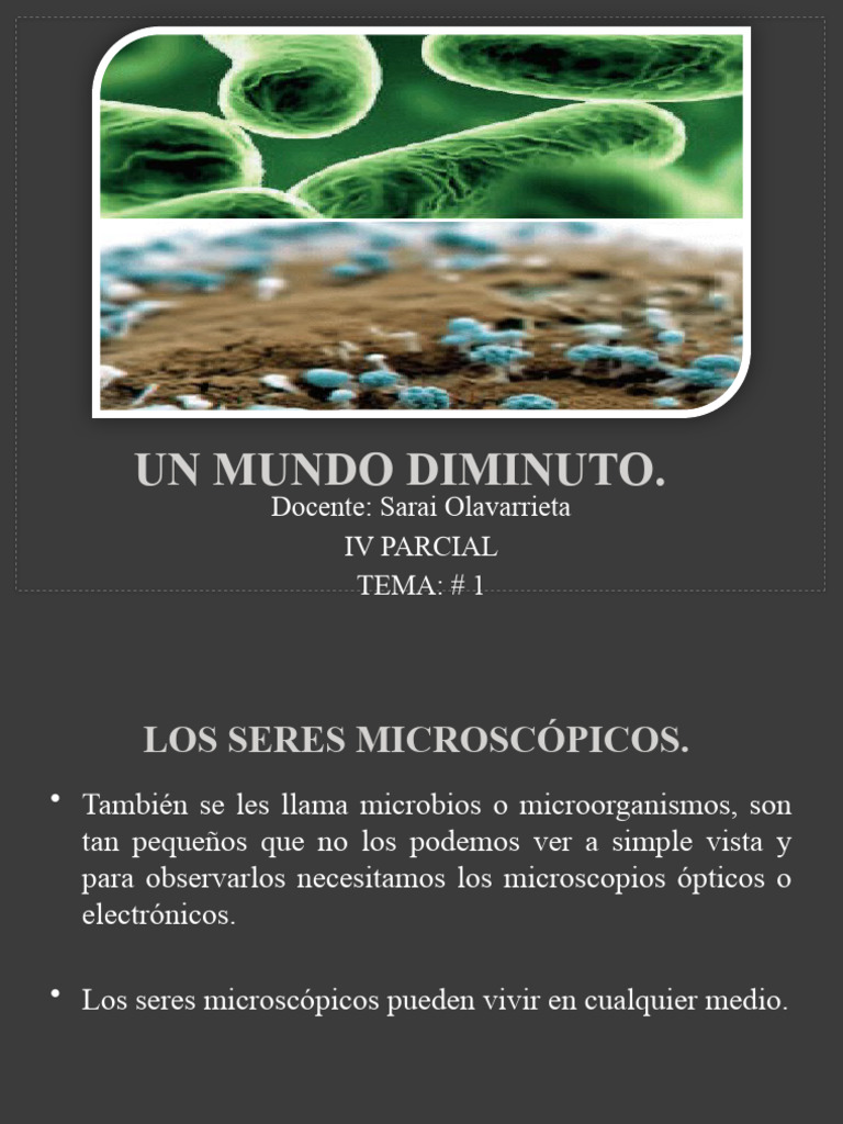 Leccion 30 Un Mundo Diminuto | PDF | Microorganismo | Algas Leccion 30 Un Mundo Diminuto | PDF | Microorganismo | Algas