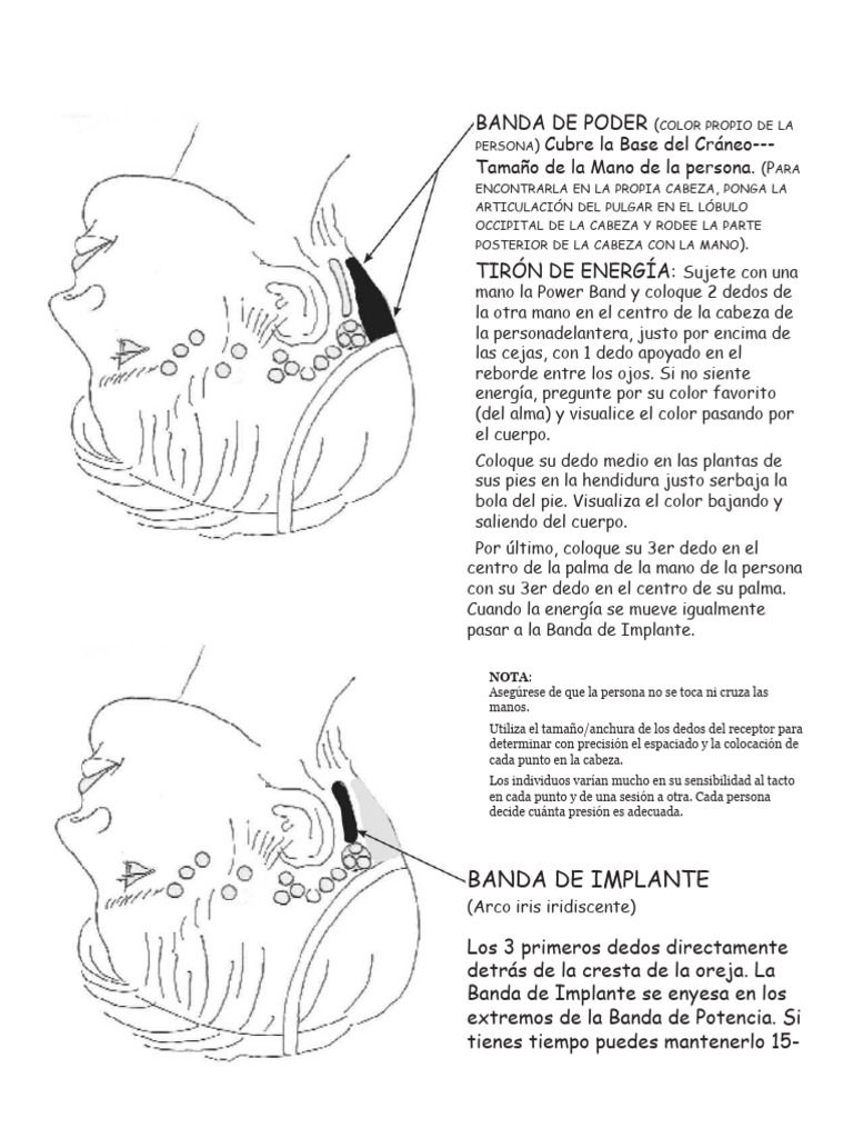 Guía de Barras de Access PDF | PDF | Mano