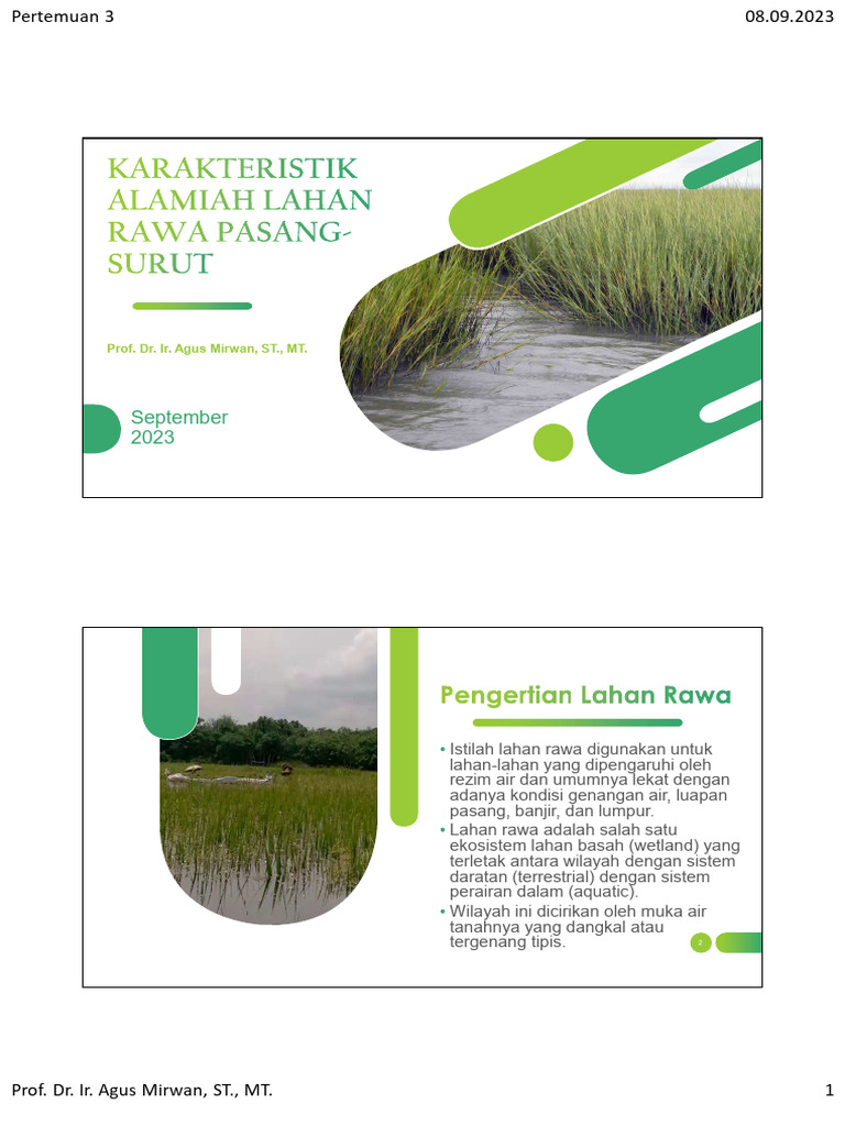 Karakteristik Alamiah Lahan Rawa Pasang Surut | PDF