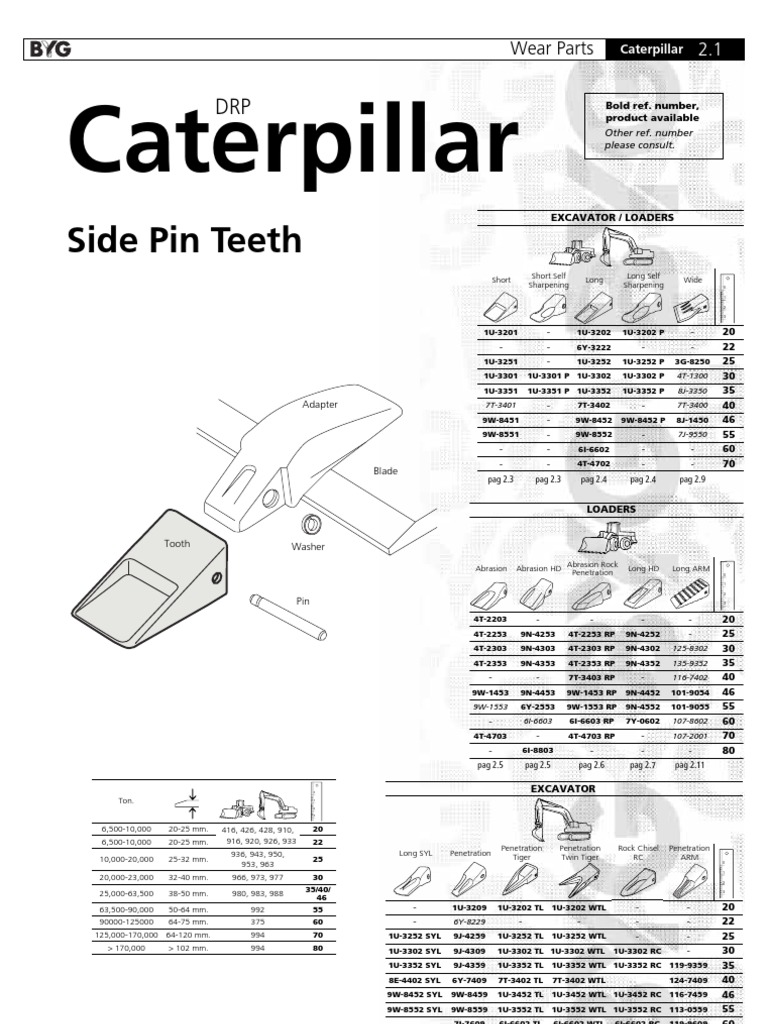 BYG Teeth Cat Side Pin Teeth | PDF | Wear | Nature