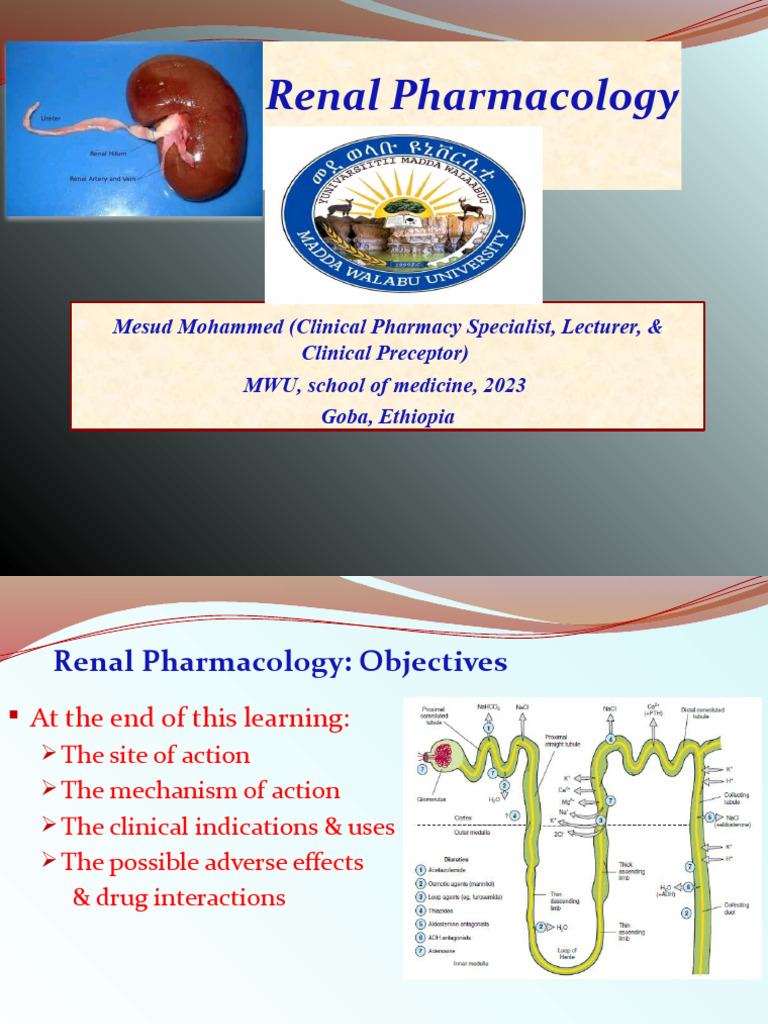 Renal Pharmacology 2023 | PDF | Kidney | Medical Specialties