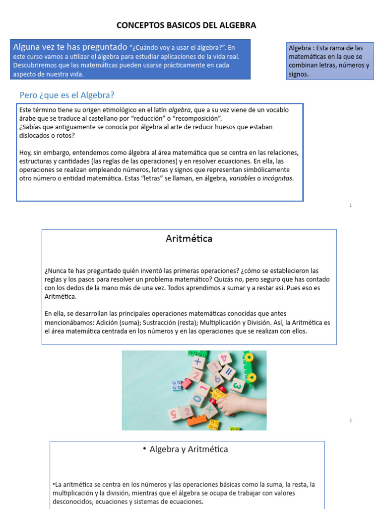 EJE 1 Algebra | PDF | Álgebra | Números