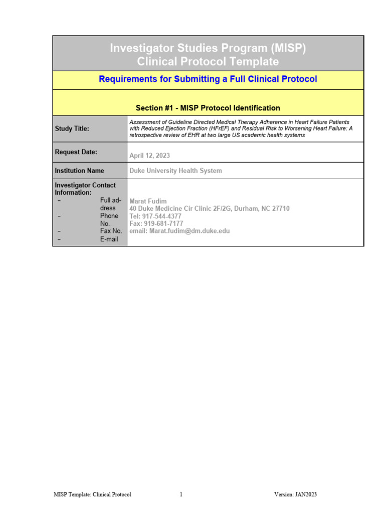 Merck Template | PDF