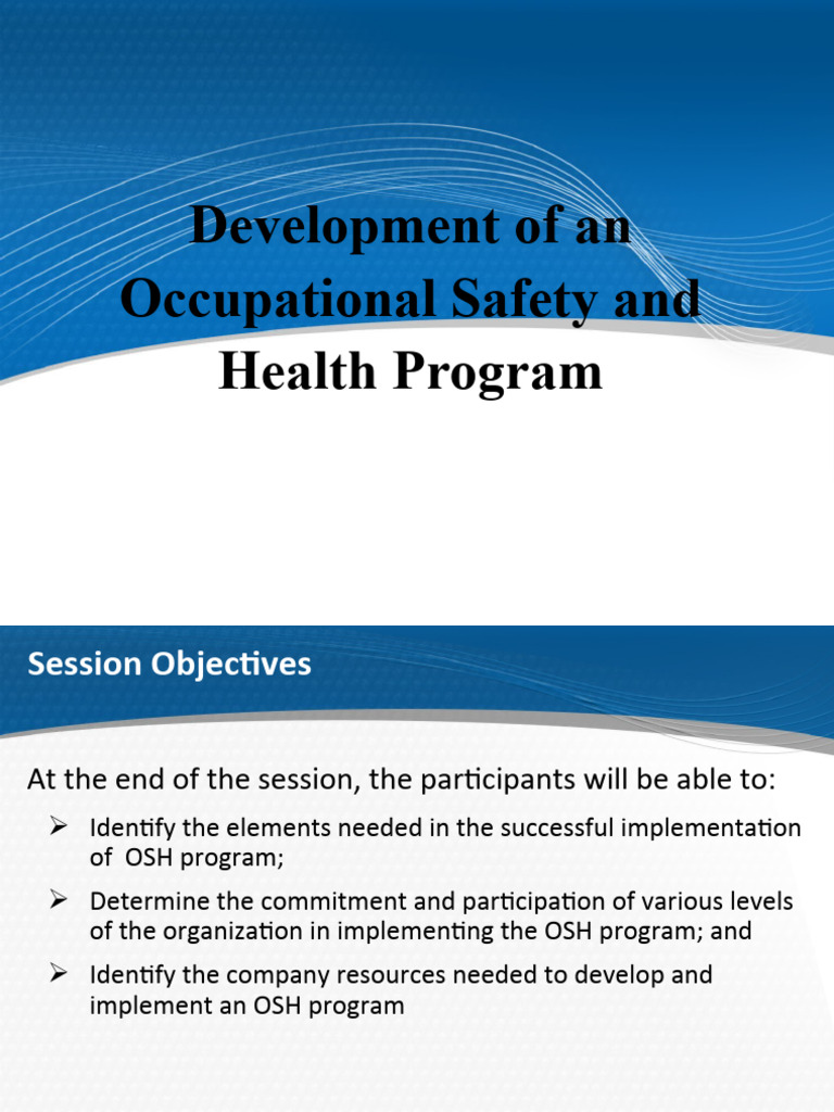 OSH Programming | PDF | Occupational Safety And Health | Safety
