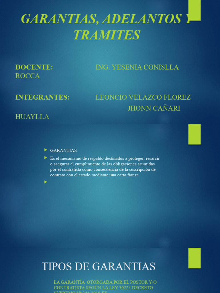 Exposicion GARANTIAS, ADELANTO Y TRAMITE | PDF