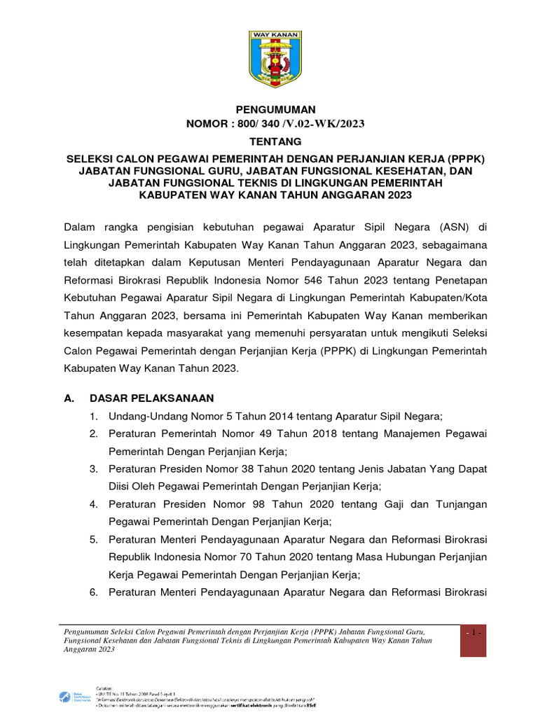 PPPK Pemkab Way Kanan | PDF