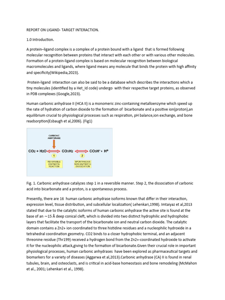 REPORT ON LIGAN-WPS Office | PDF