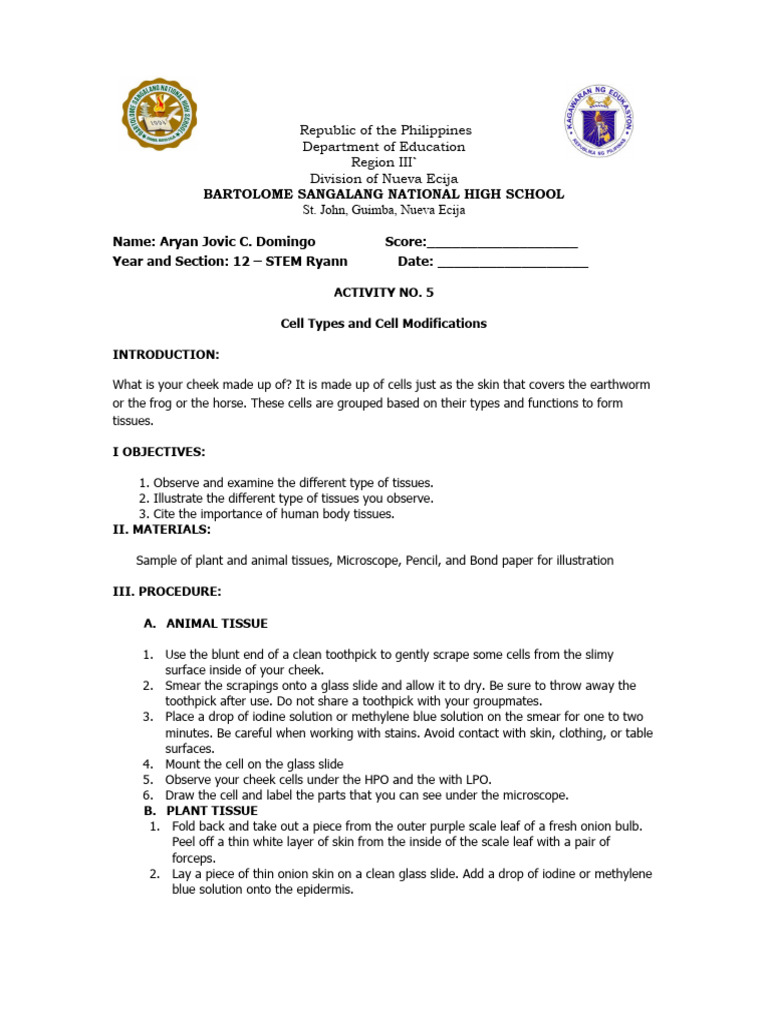 Activity No. 4 Module Cell Types and Cell Modifications | PDF | Tissue ...