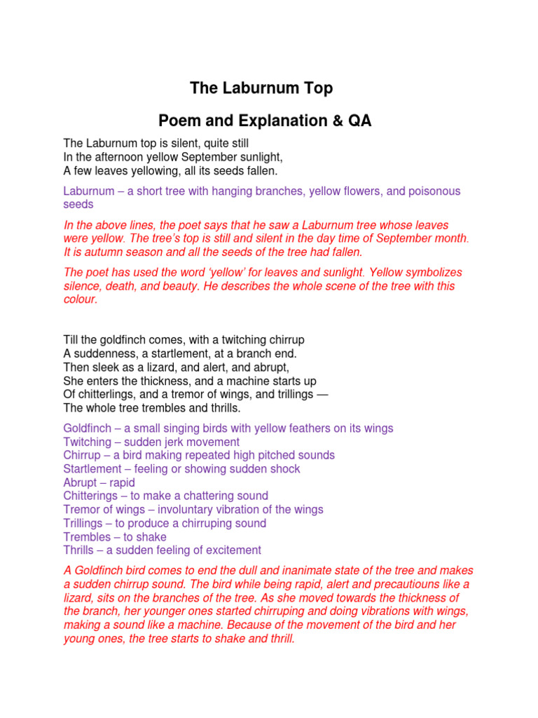 The Laburnum Top Poem, Exp &QA | PDF