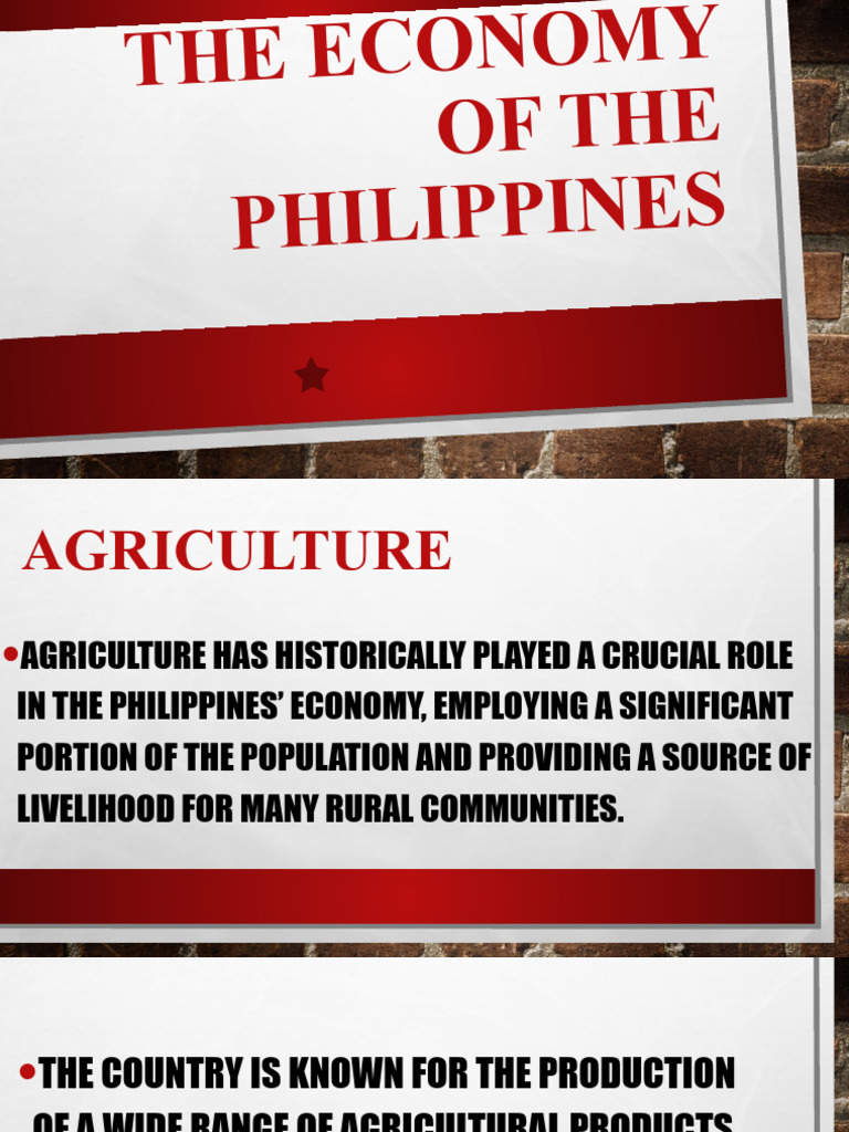 Economic Overview of the Philippines | PDF | Philippines | Economies