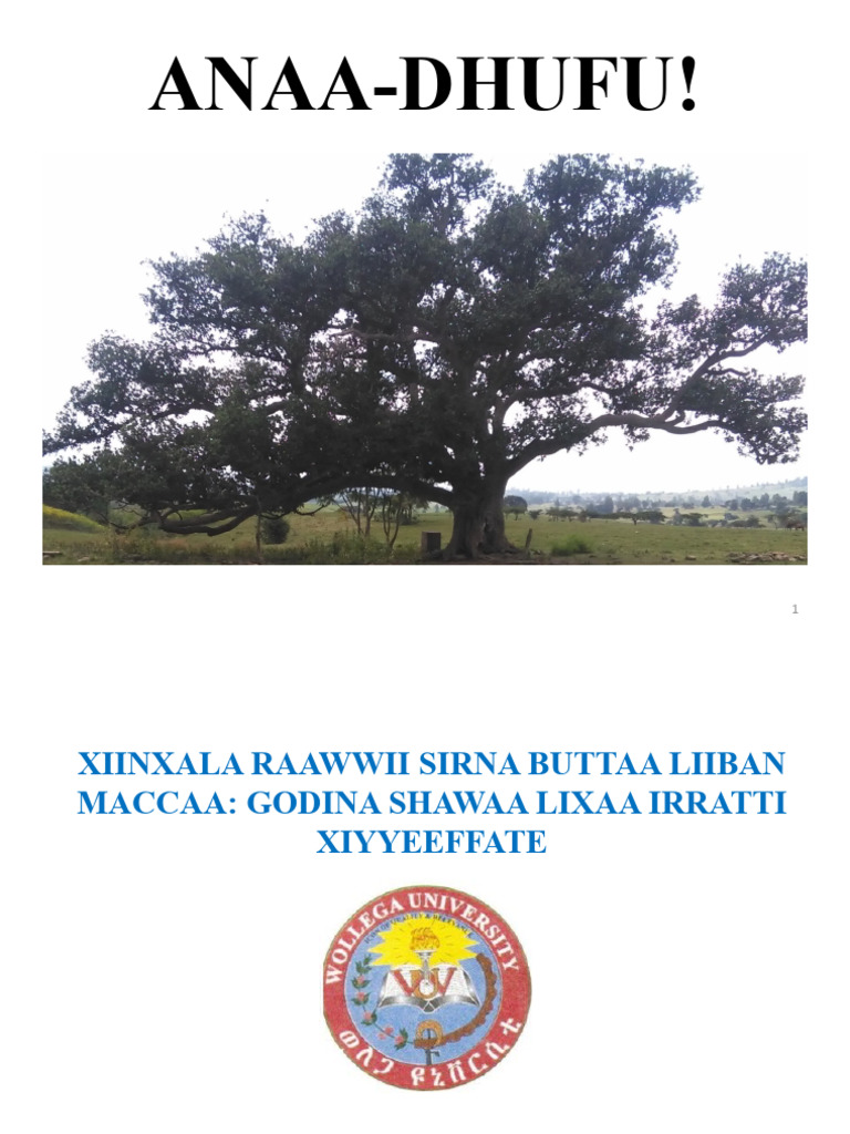 Sirna Buttaa Liiban Maccaa | PDF