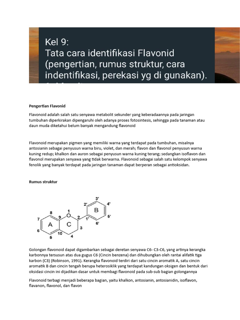Pengertian dan Identifikasi Flavonoid | PDF