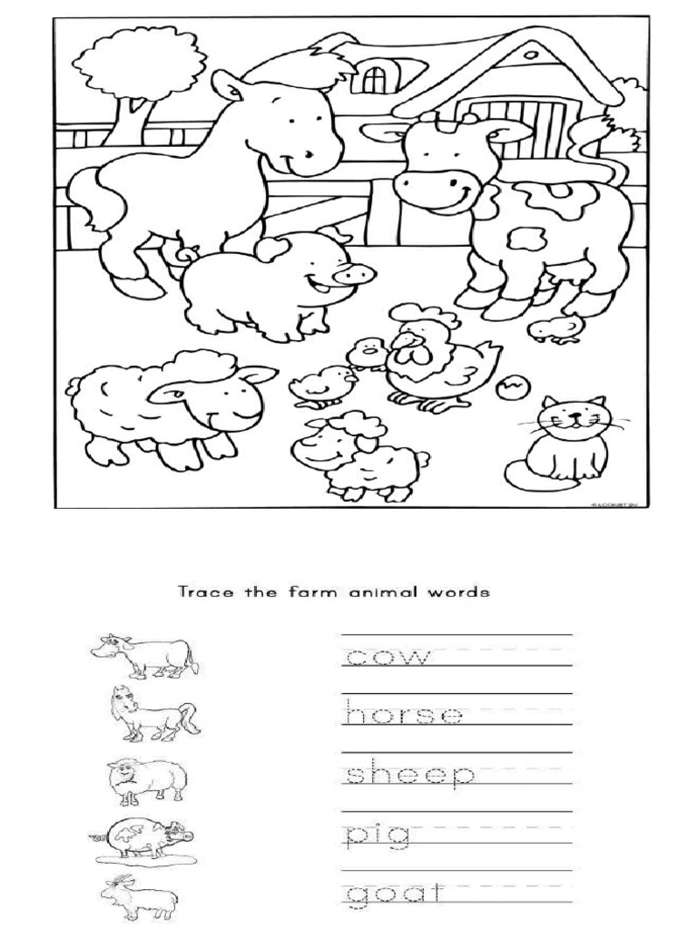 Worksheet Grade 1 | PDF
