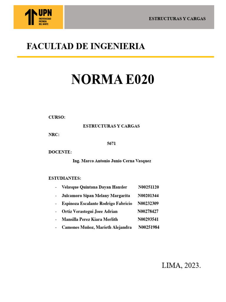 Informe Norma E.020 - T1 - Estructuras - y - Cargas | PDF