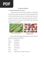 Katalog Box Rabbit | PDF