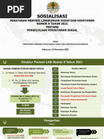 SK Piaps Revisi Ix | PDF