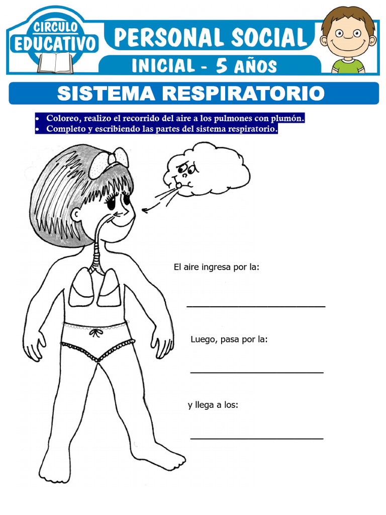 Actividades Educativas sobre el Sistema Respiratorio | PDF | Salud y ...