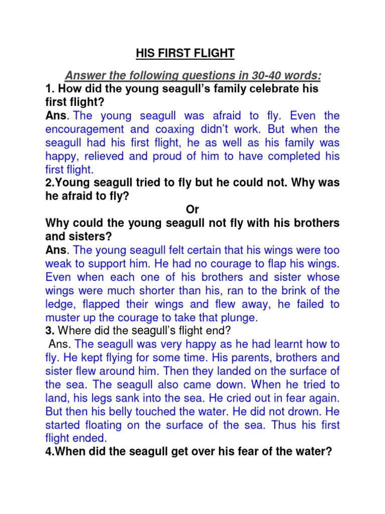 His First Flight | PDF | Gull