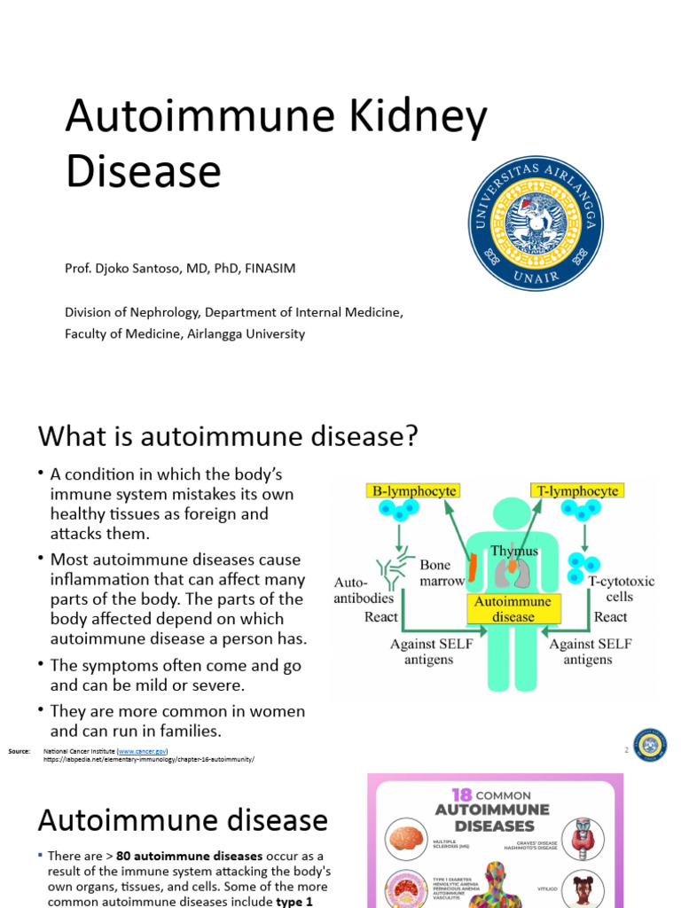 Prof Djoko - Autoimmune Kidney Disease v2 ENG | PDF | Autoimmune ...