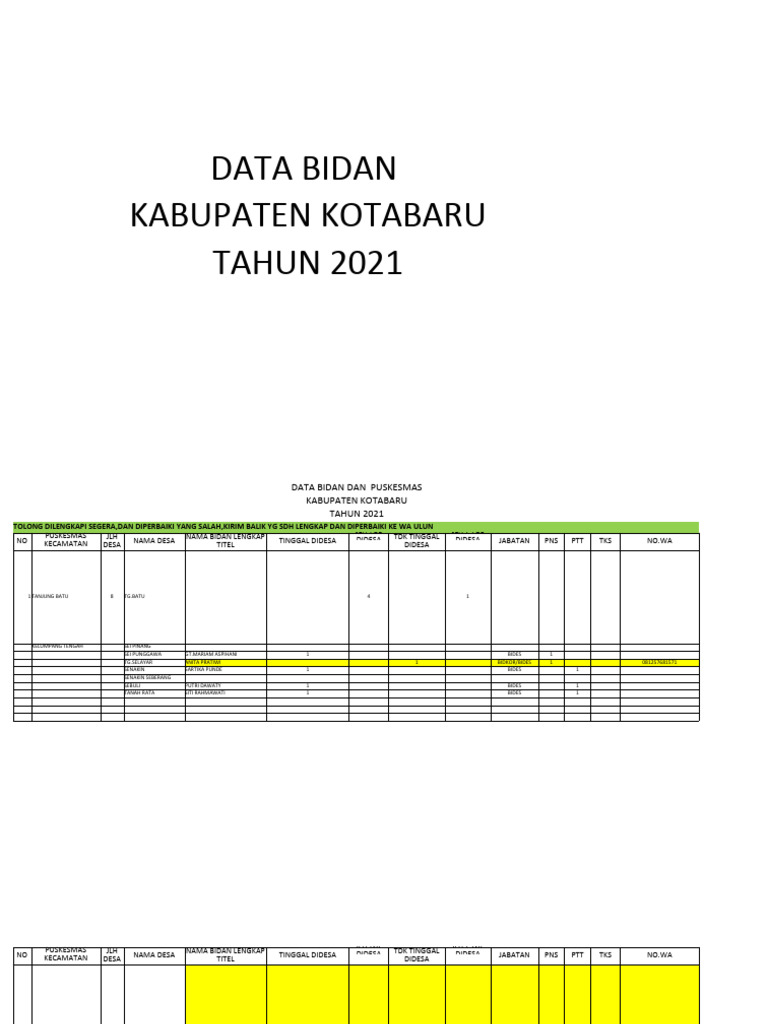 Data Bidan 2021 New | PDF