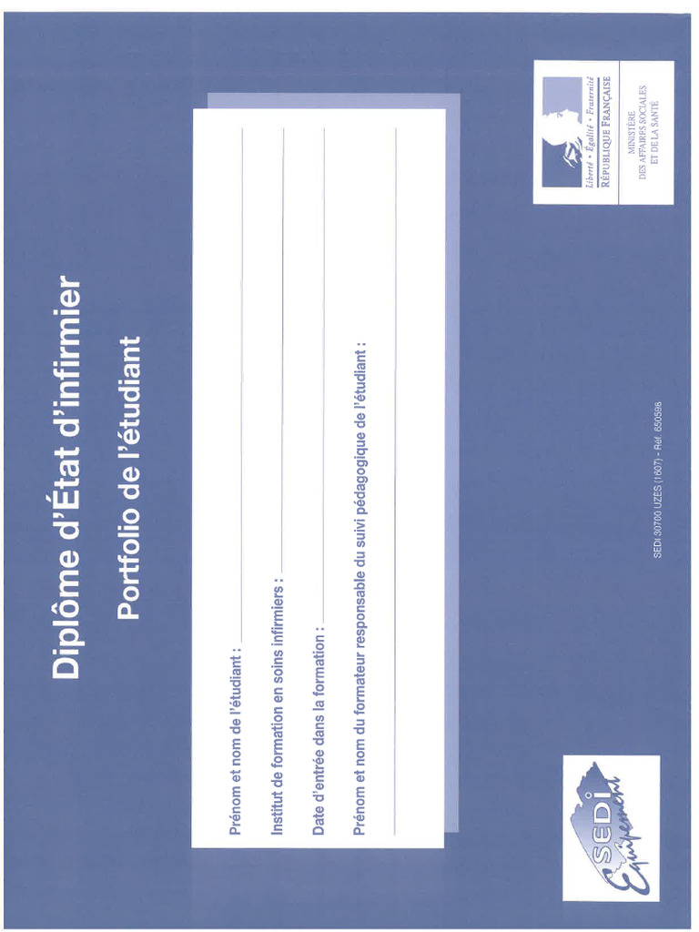 Portfolio IDE | PDF
