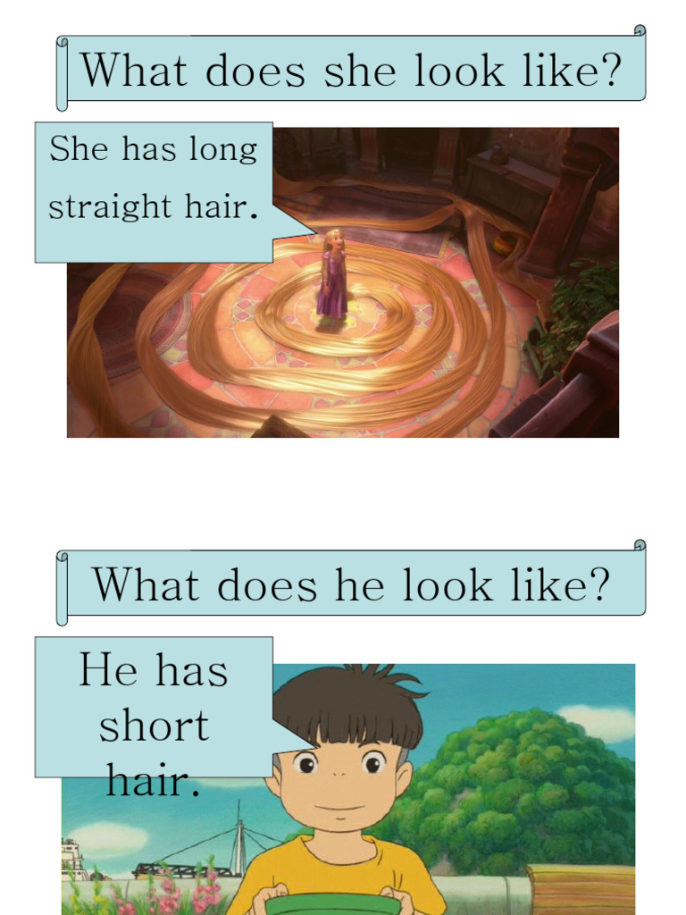 Descriptions of Hair and Eye Colors | PDF