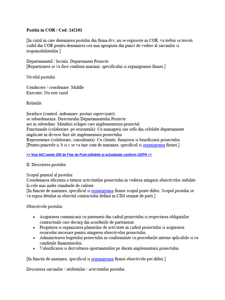 Fisa Post Manager Proiect - Pozitia in Cor | PDF
