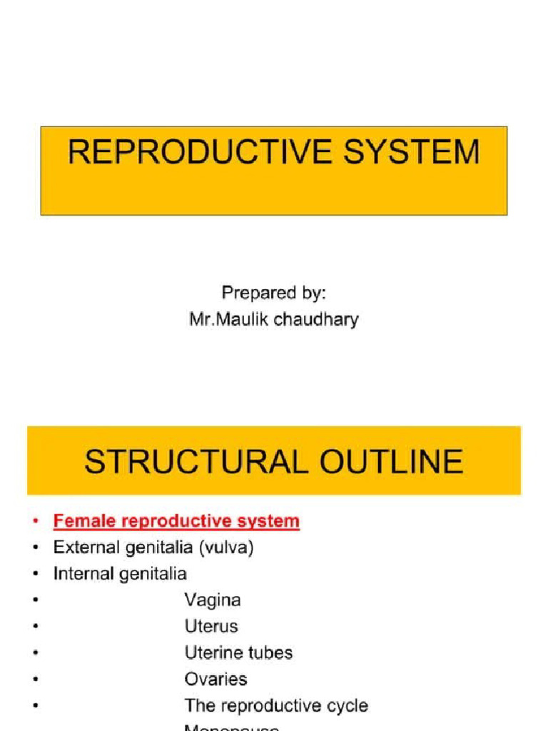 UNIT 5 HAP Part 1 | PDF